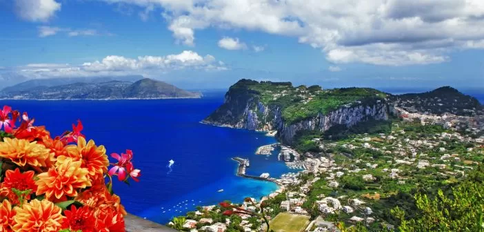 Motorola, nouveau haut de gamme (Nio) et d'entrée de gamme (Capri+) à venir